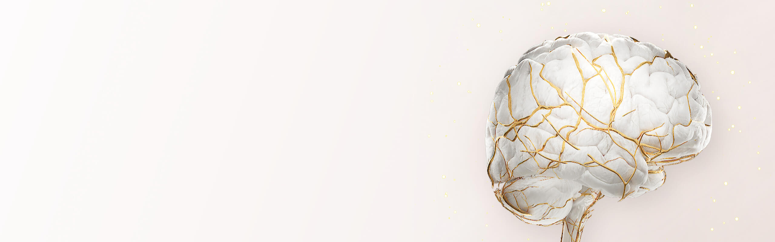 Whole Brain Living: The Anatomy of Choice and the Four Characters That ...