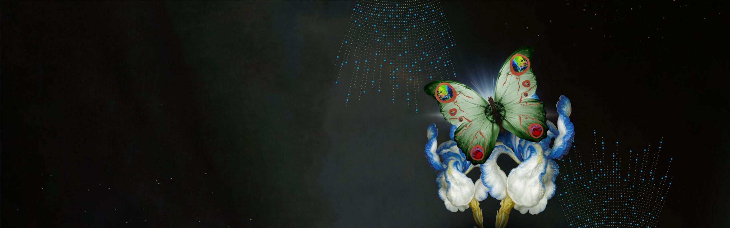 Morning Pitches 4 - ESR Connect